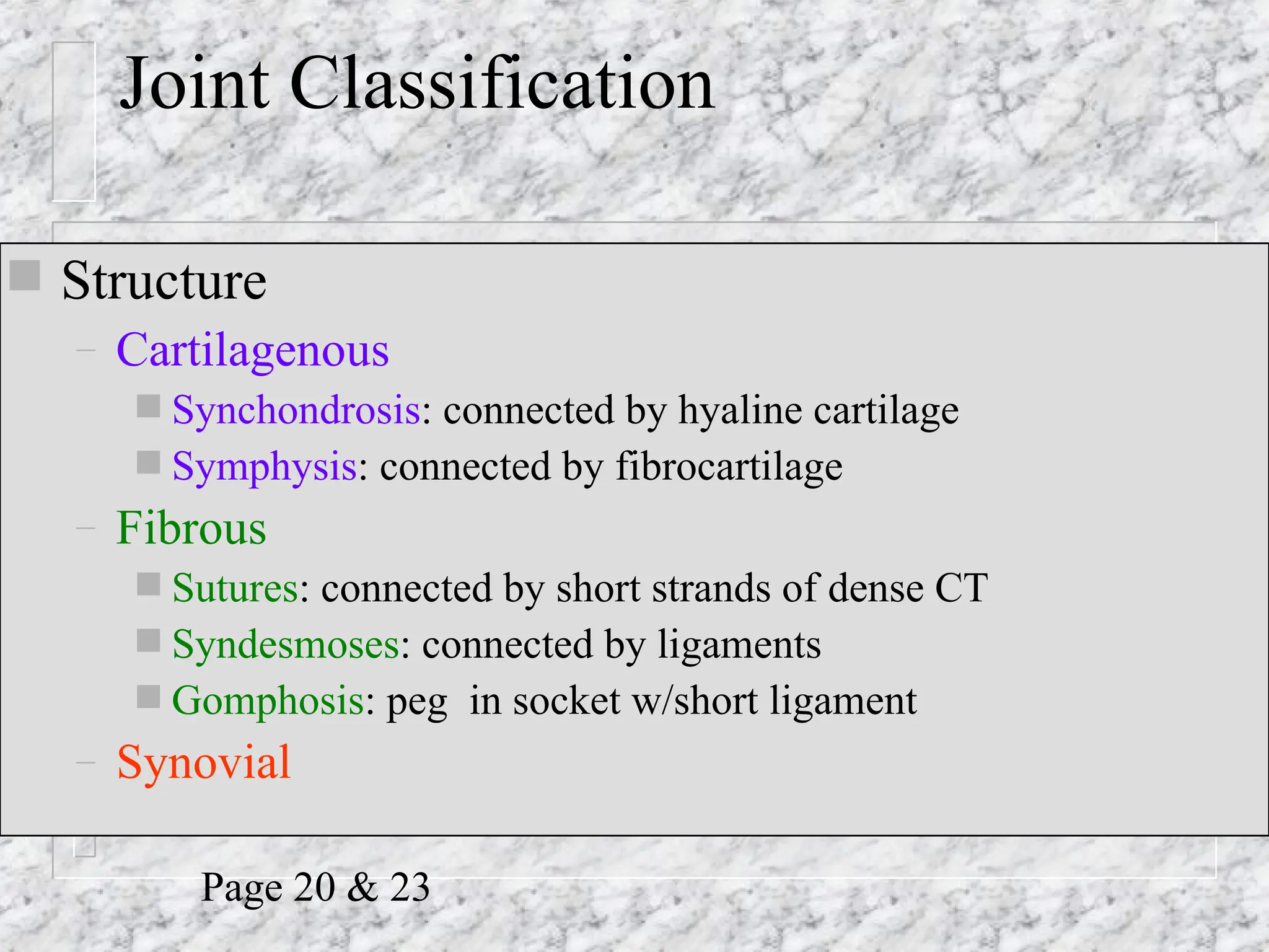 2 - Joints and Muscles Anatomy Grays.ppt