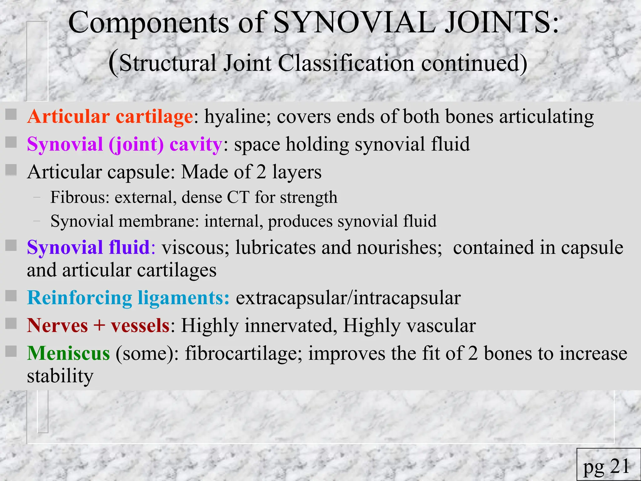 2 - Joints and Muscles Anatomy Grays.ppt