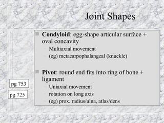 2 - Joints and Muscles Anatomy Grays.ppt