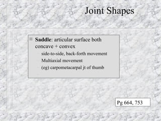 2 - Joints and Muscles Anatomy Grays.ppt