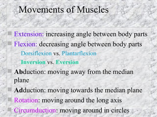 2 - Joints and Muscles Anatomy Grays.ppt