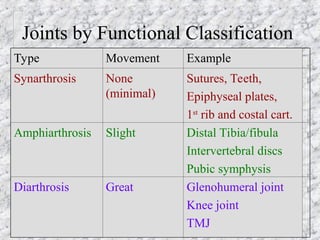 2 - Joints and Muscles Anatomy Grays.ppt