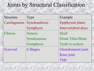 2 - Joints and Muscles Anatomy Grays.ppt
