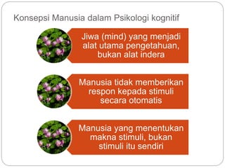 karakteristik manusia (konsepsi psikologi tentang manusia) | PPTX