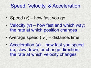2-kinematics.ppt
