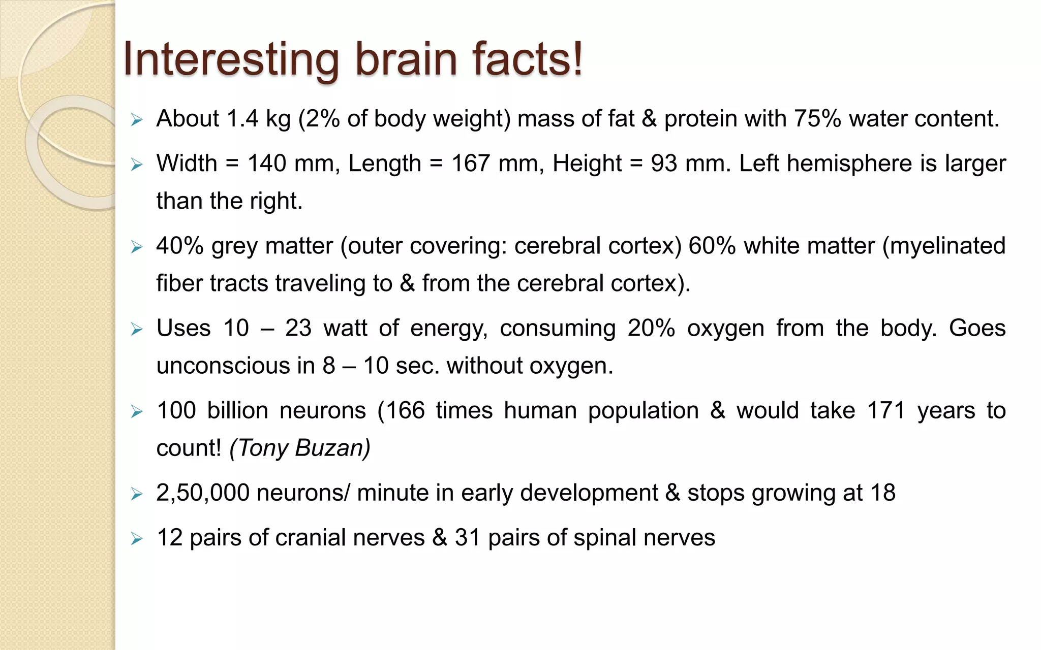 Language and brain | PPTX