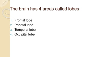 Language and brain | PPTX