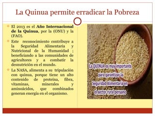 2. la quinua | PPT
