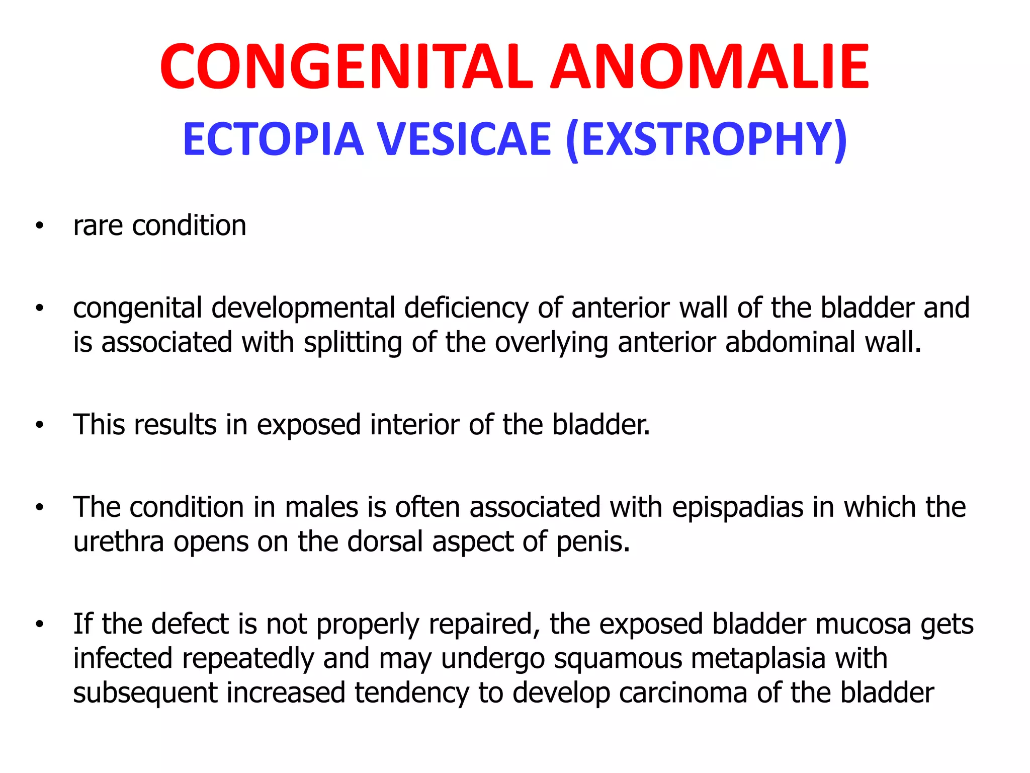 TUMORS OF LOWER URINARY TRACT | PPTX
