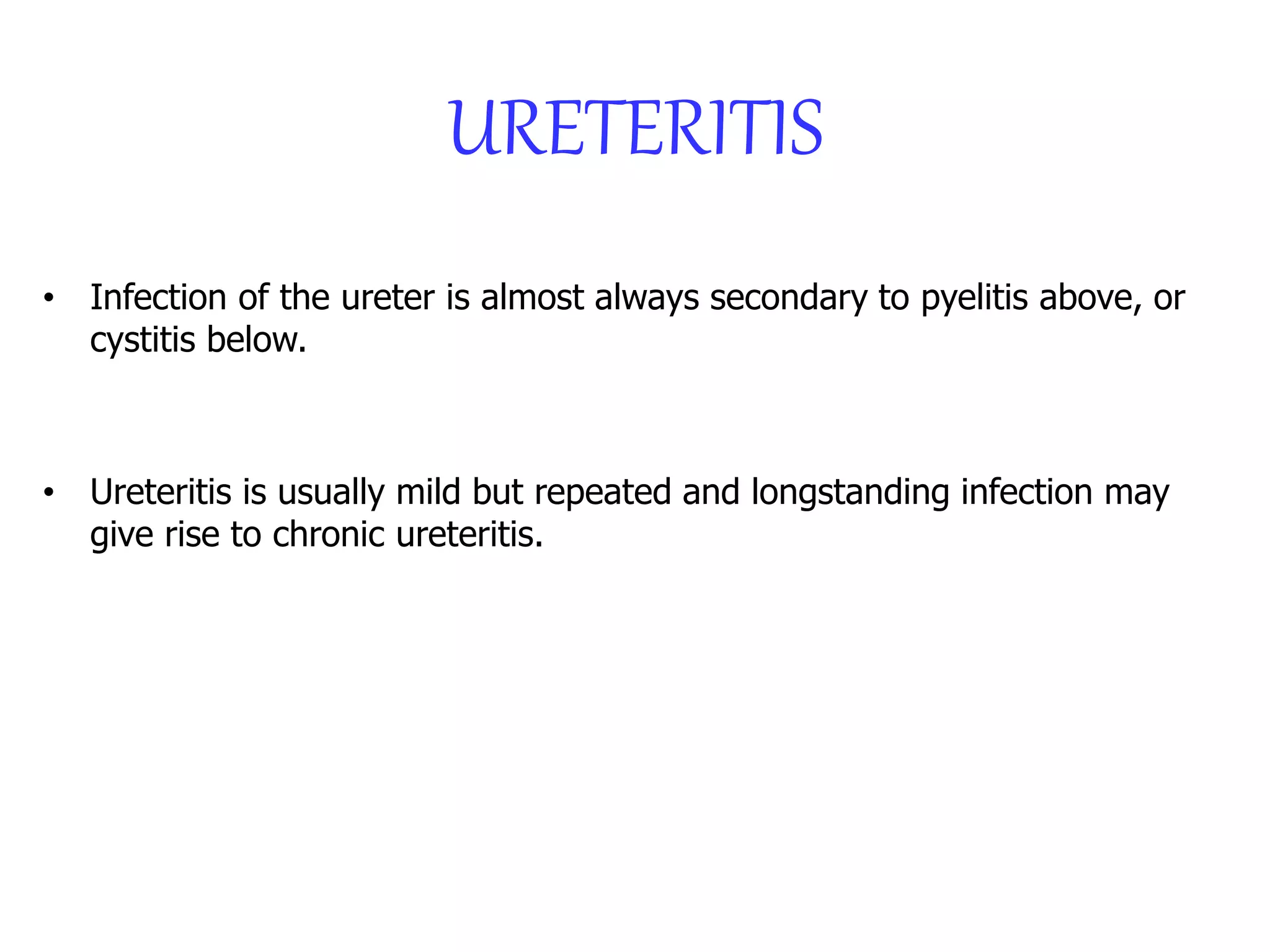 TUMORS OF LOWER URINARY TRACT | PPTX
