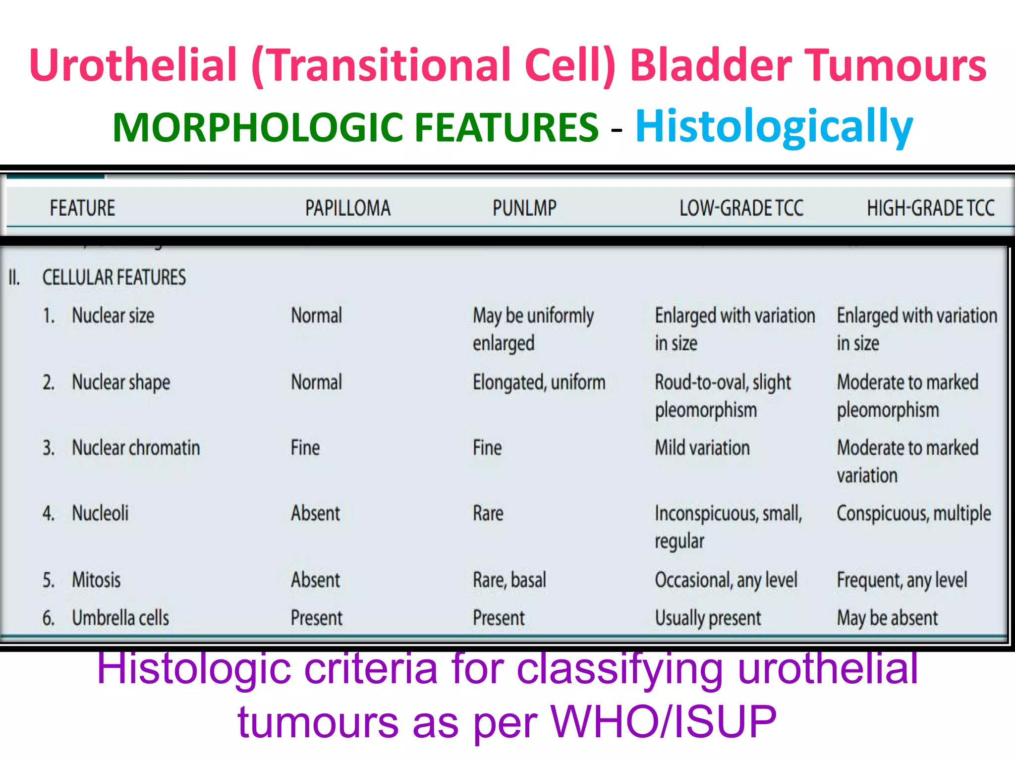 RENAL CELL CARCINOMA, Urothelial (Transitional Cell) Bladder Tumours | PPTX
