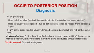 2 malpresentations. (2)- OP | PDF | Pregnancy | Reproductive Health