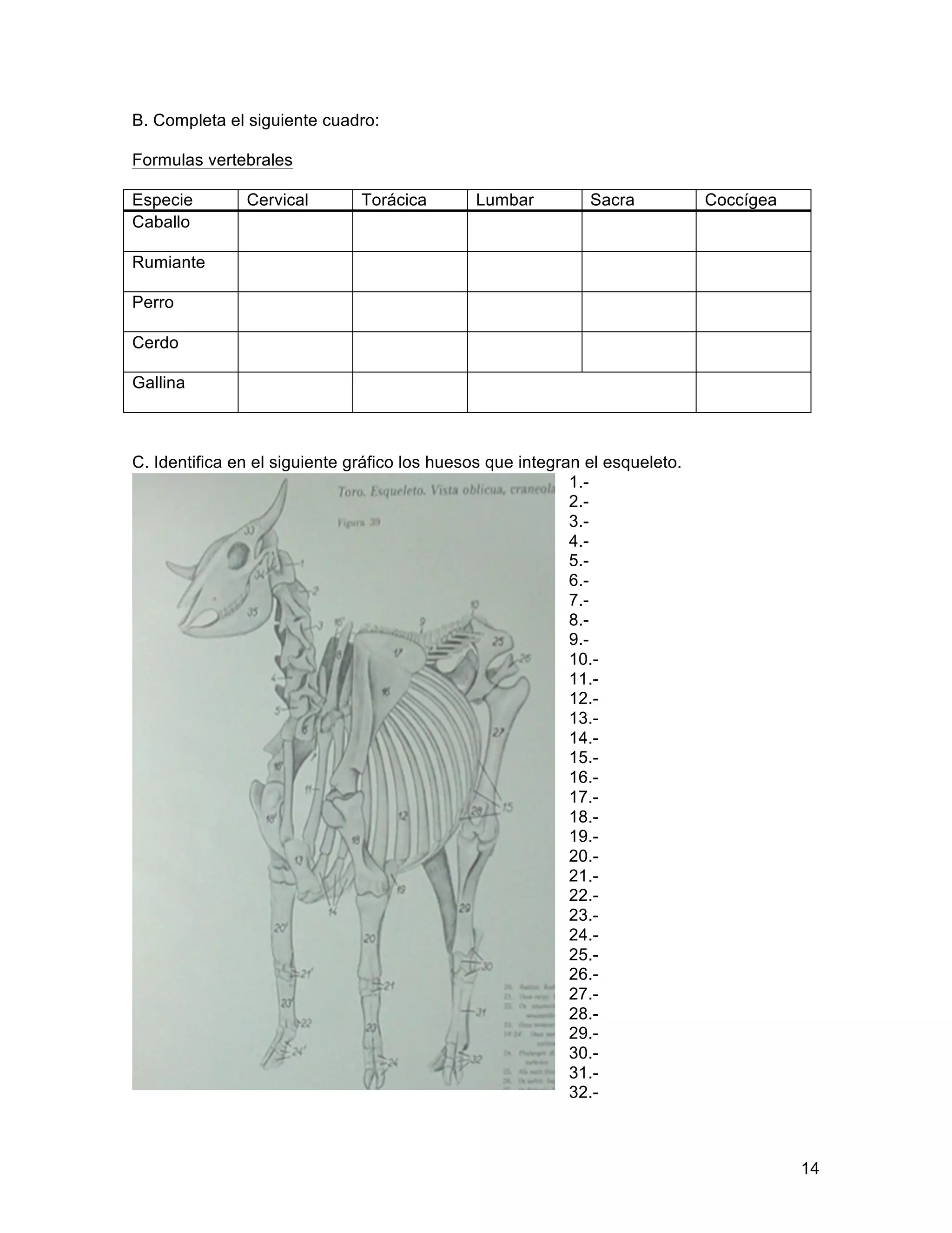 2 manual-de-practicas-de-anatomia-sistemica-descriptiva-veterinaria ...