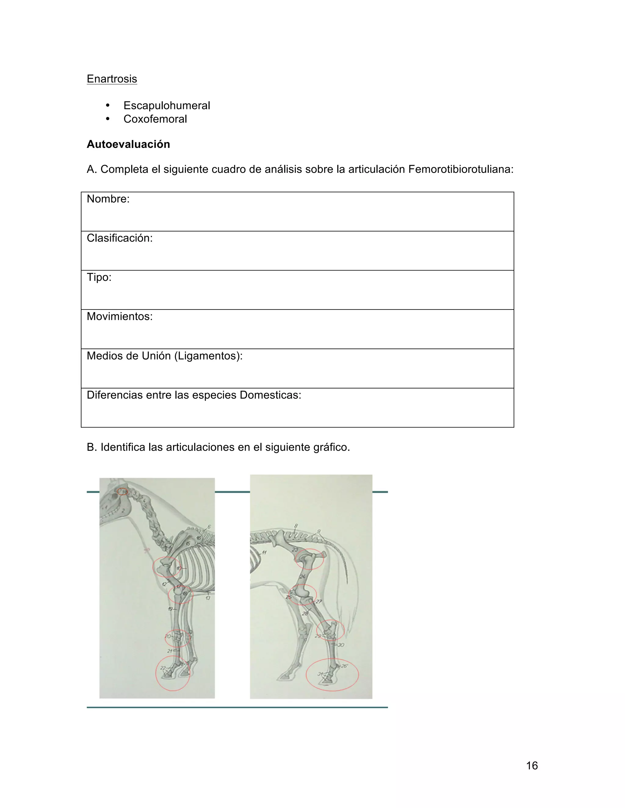 2 manual-de-practicas-de-anatomia-sistemica-descriptiva-veterinaria ...