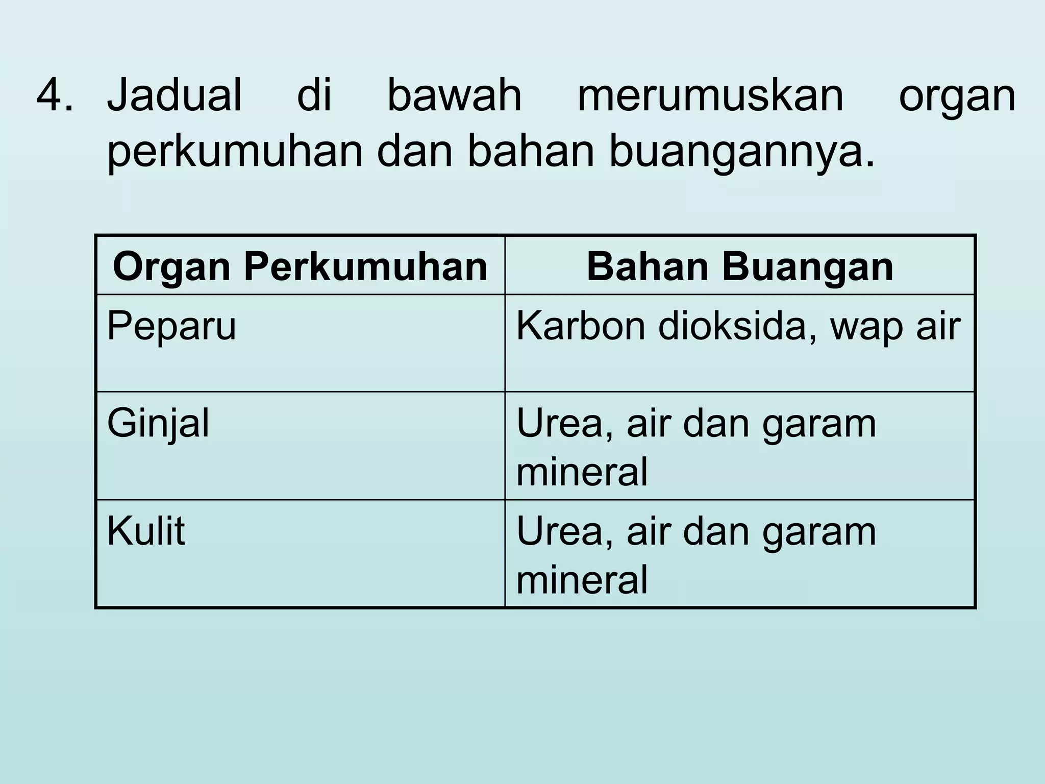 2 manusia berkumuh dan bernyahtinja | PPT