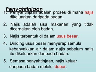 2 manusia berkumuh dan bernyahtinja | PPT