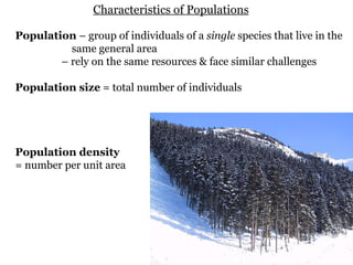 Population Density | PPT