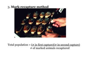 Population Density | PPT