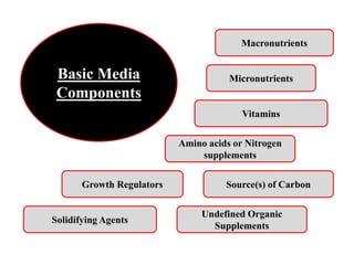 2-Media and their components.pptx