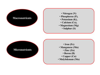 2-Media and their components.pptx