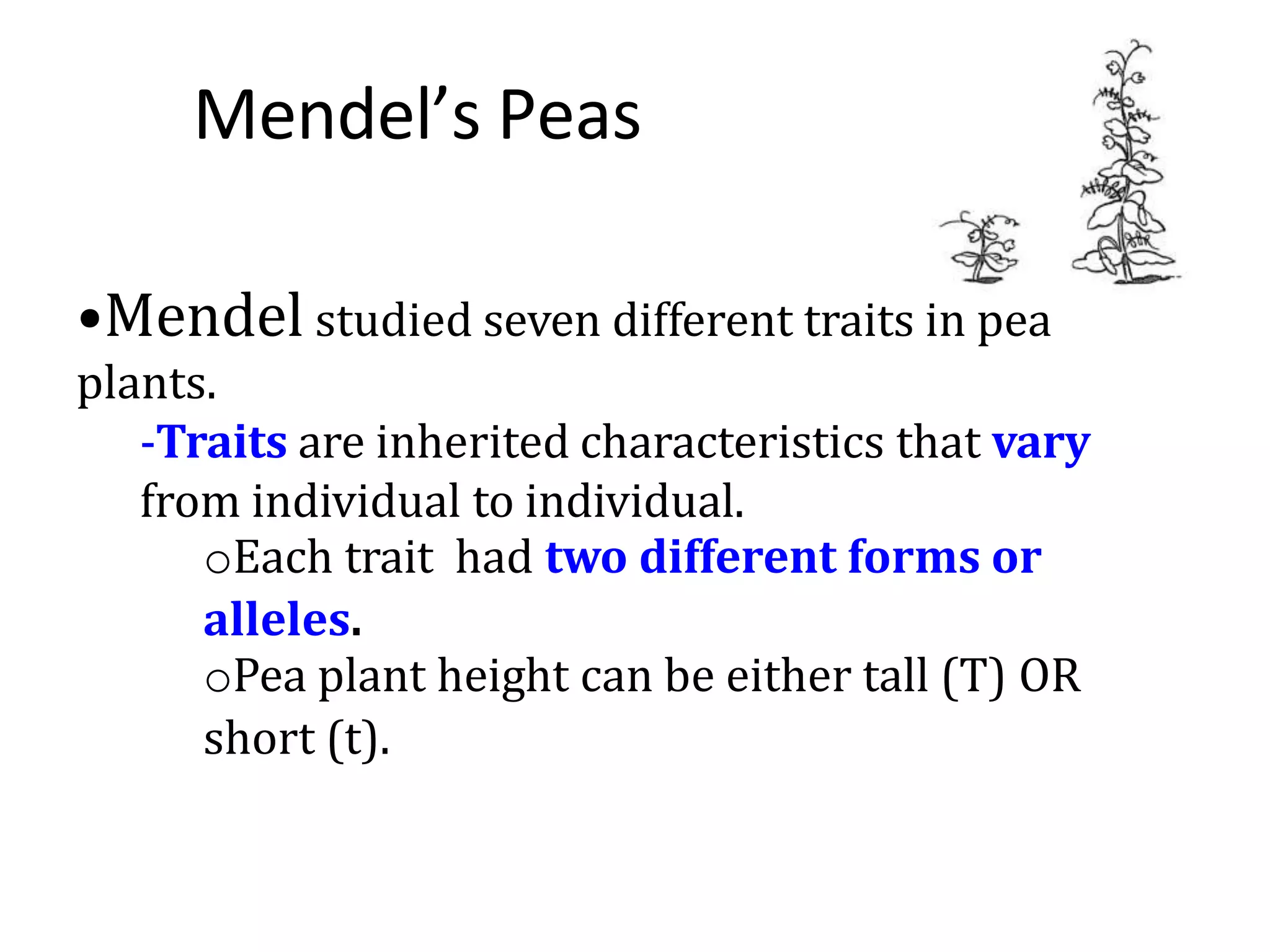 2-Mendel Notes for website.pptx