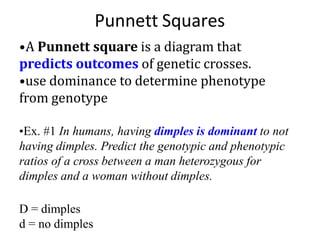 2-Mendel Notes for website.pptx