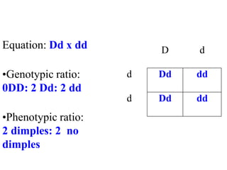 2-Mendel Notes for website.pptx
