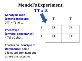 2-Mendel Notes for website.pptx