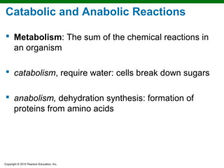 2 - Metabolism and Growth | PPT