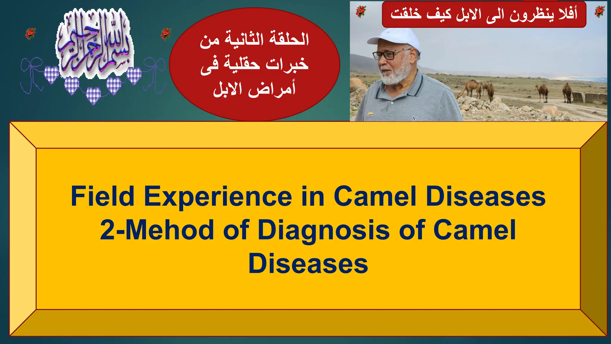 2-Method of Diagnosis of Camel Diseases (Clinical Examination) Prof Dr ...