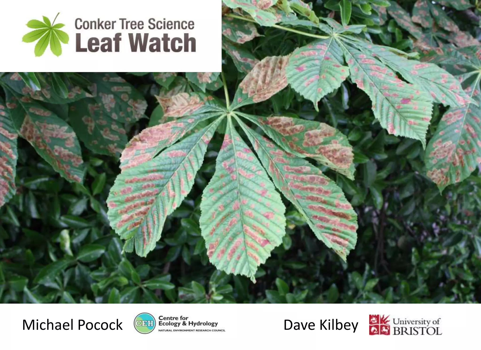 Dr Michael Pocock: Crowd Source for Success - the Leaf Watch App | PPTX