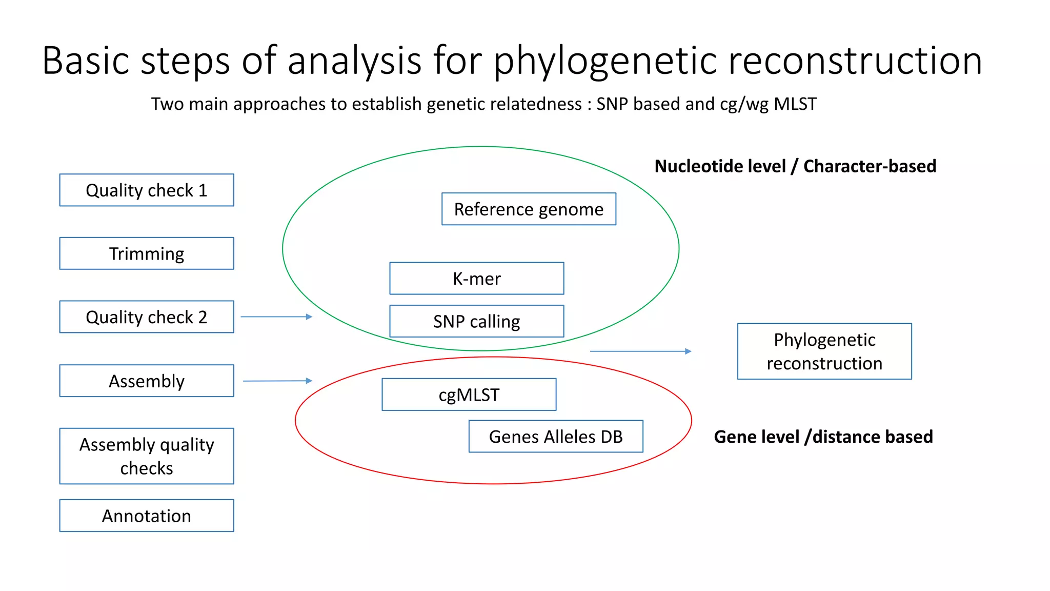 Overview Of The Commonly Used Sequencing Platforms Bioinformatic