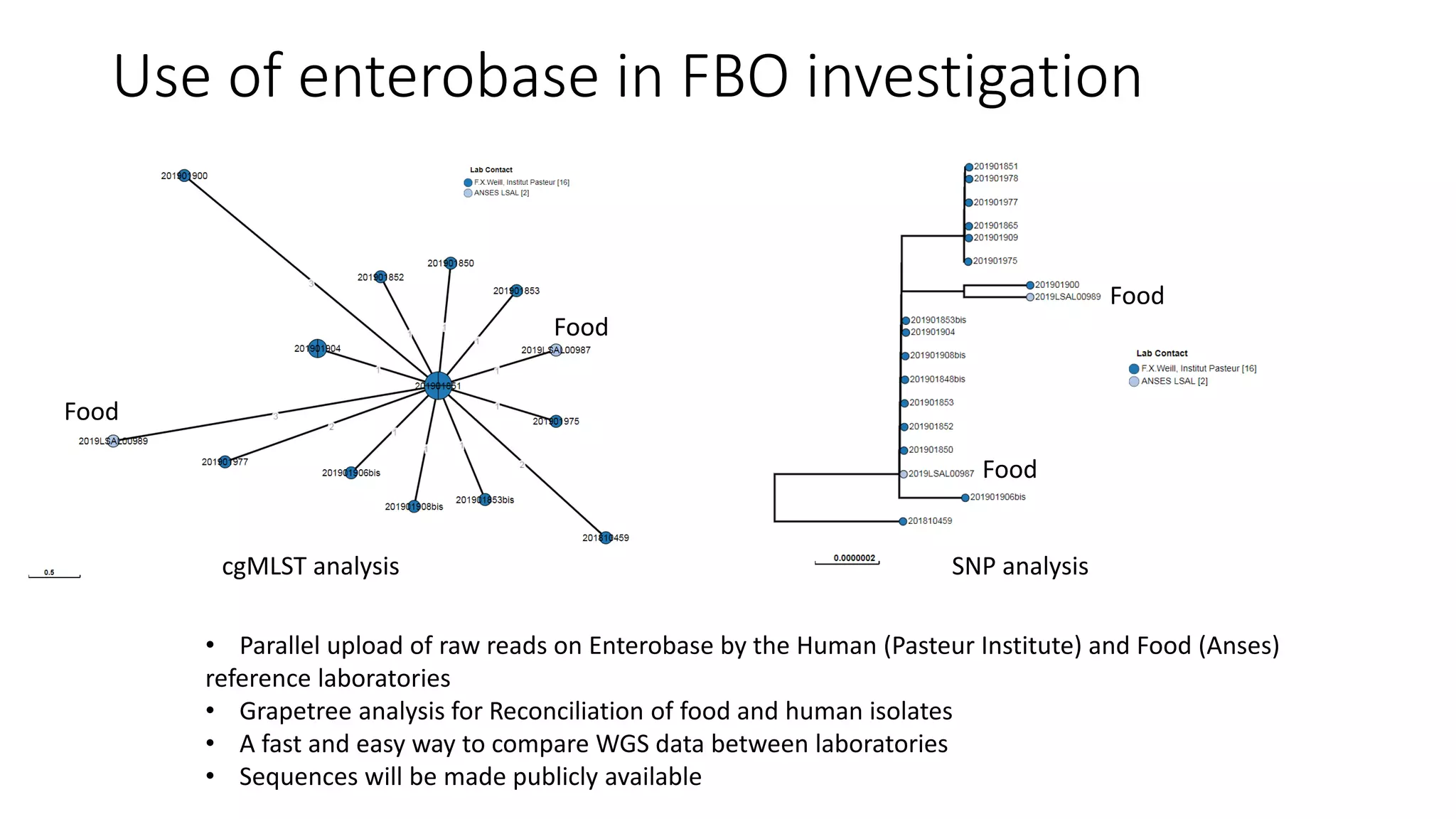 Overview Of The Commonly Used Sequencing Platforms Bioinformatic