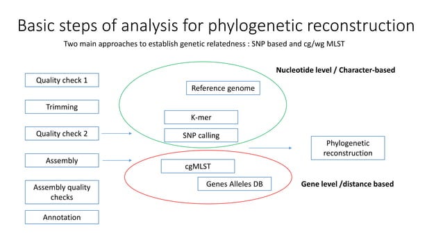 Overview Of The Commonly Used Sequencing Platforms Bioinformatic