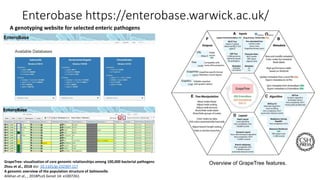 Overview of the commonly used sequencing platforms, bioinformatic ...