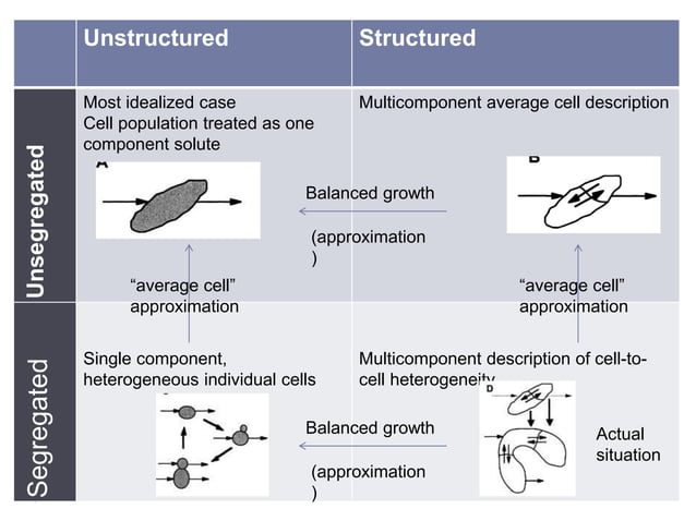 Cellular Growth Modelling and Classification
