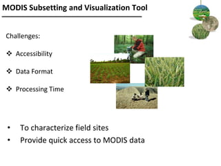 Increasing Access to MODIS data through Web services and visualization ...