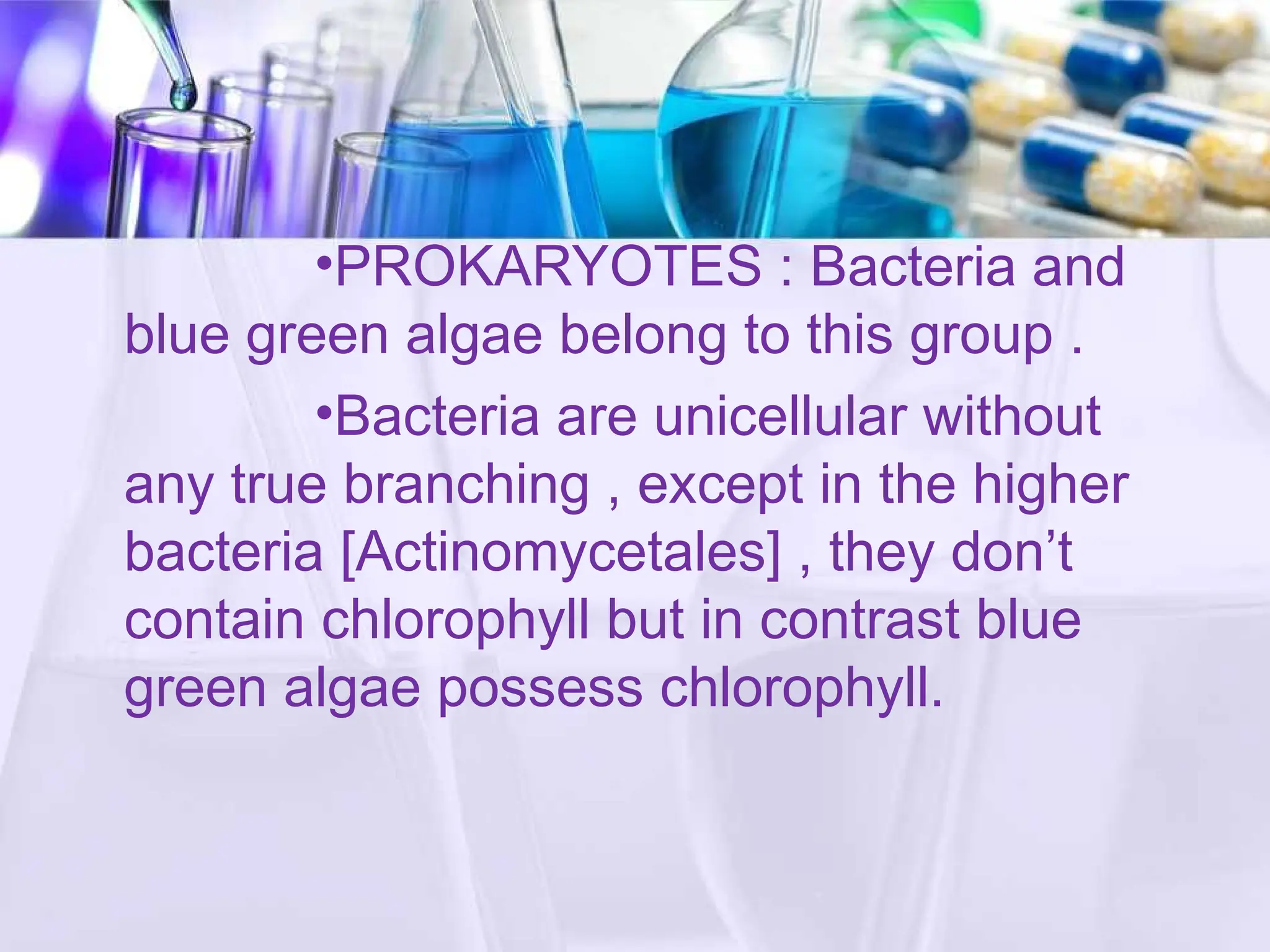 2-MORPHOLOGY CHARACTERISCTICS OF BACTERIA I.ppt