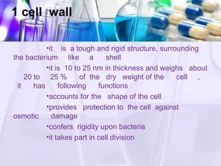 2-MORPHOLOGY CHARACTERISCTICS OF BACTERIA I.ppt