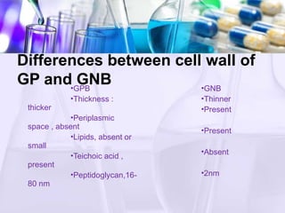 2-MORPHOLOGY CHARACTERISCTICS OF BACTERIA I.ppt