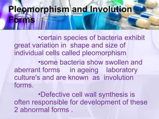 2-MORPHOLOGY CHARACTERISCTICS OF BACTERIA I.ppt