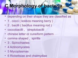2-MORPHOLOGY AND DESCRIPTION OF BACTERIA I.ppt