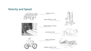 Introduction to motion for high school students | PPTX