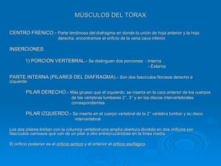2. Anatomía de los Músculos del tórax.ppt