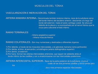 2. Anatomía de los Músculos del tórax.ppt