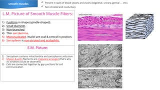 Histology of integrated muscle presentation .pptx