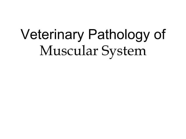 Veterinary Pathology of Muscular System | PPT