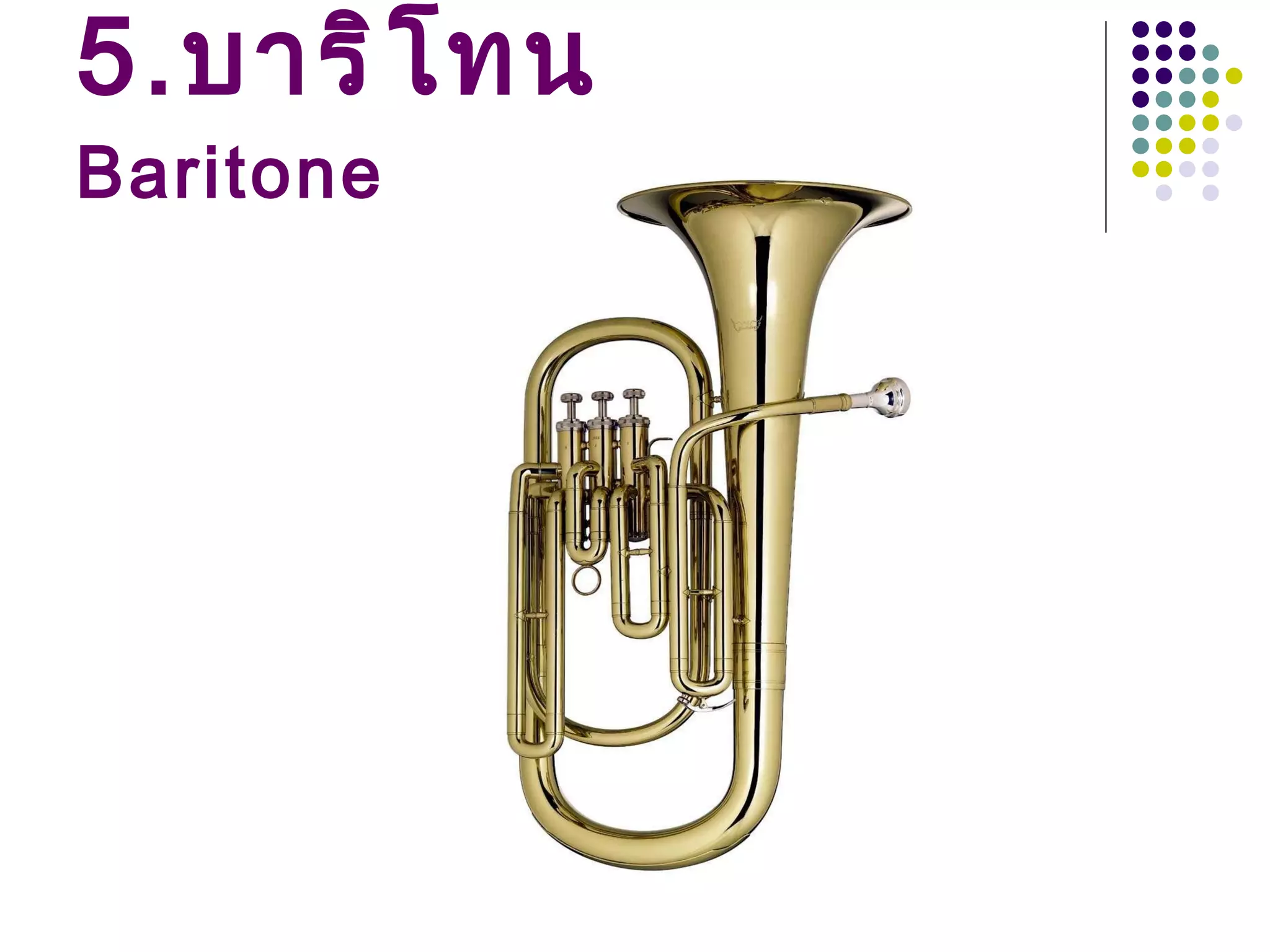 Musical Instrument | PPT