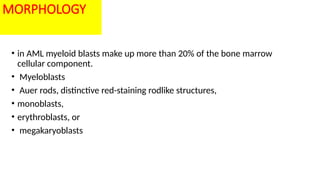 2- Myeloid Neoplasms hematopathology(2).pptx