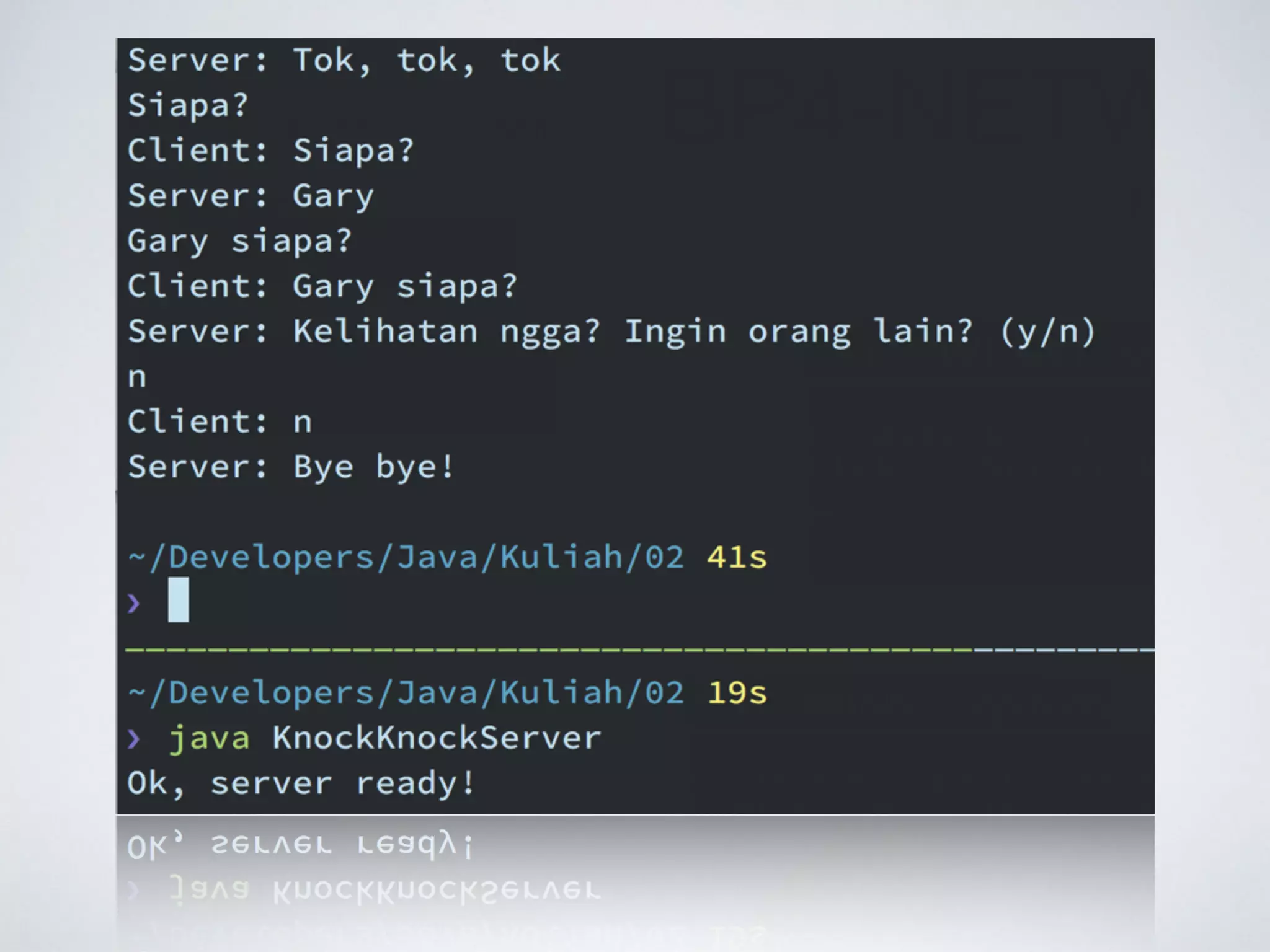 Mobile Programming - Network Universitas Budi Luhur | PDF